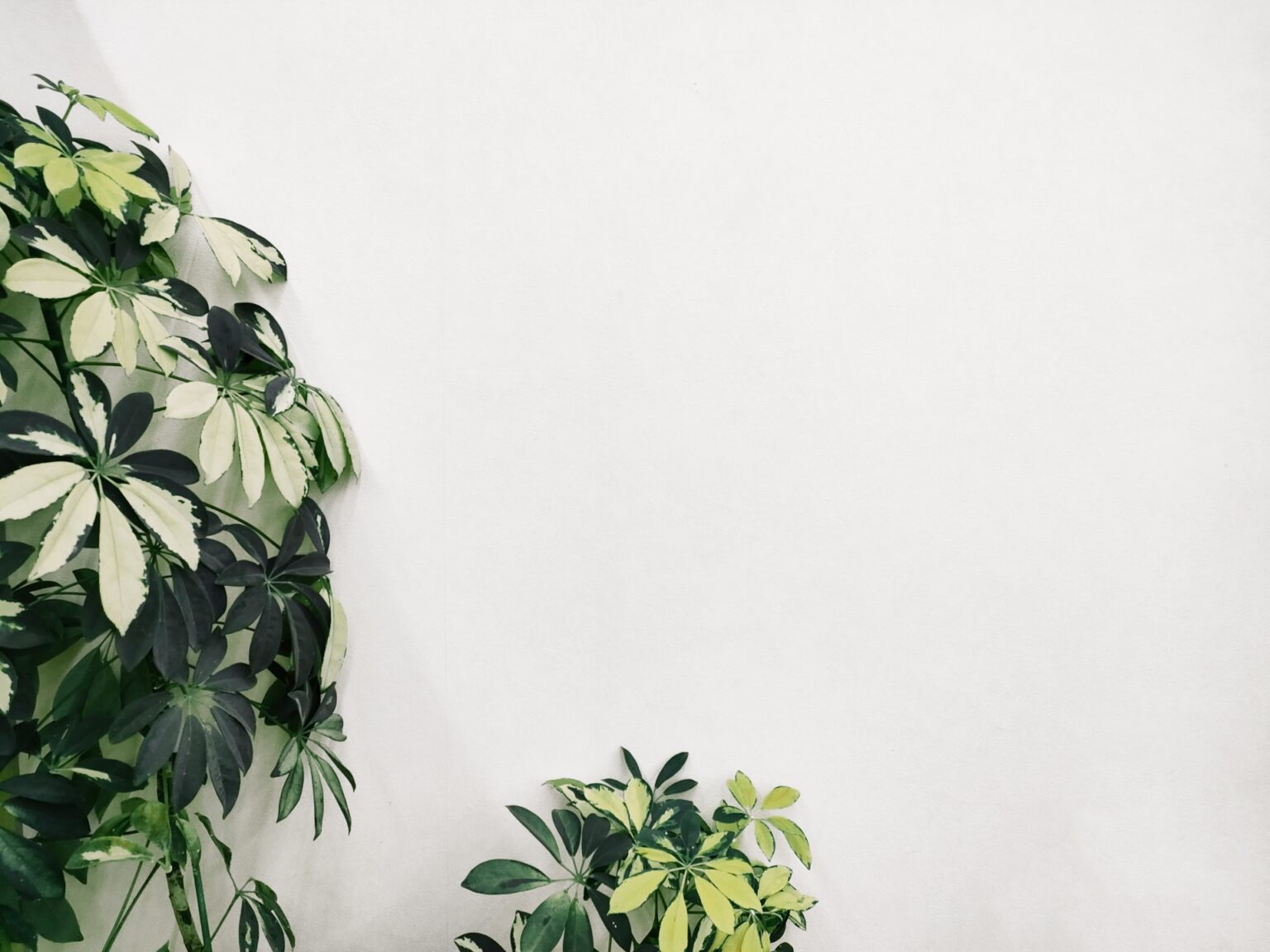 株式会社Pisty – 関西（大阪・兵庫・京都）のアパレル販売代行